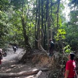 Mount Angsi, Negeri Sembilan, Malaysia - 1,048 Reviews, Map | AllTrails