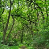 Windolph Landing Preserve Trail, Pennsylvania - 95 Reviews, Map | AllTrails