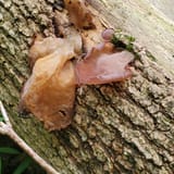 Windolph Landing Preserve Trail, Pennsylvania - 95 Reviews, Map | AllTrails