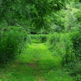 Windolph Landing Preserve Trail, Pennsylvania - 95 Reviews, Map | AllTrails