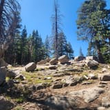 Emigrant Lake Trail, California - 965 Reviews, Map | AllTrails