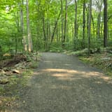 Scoville Reservoir Loop, Connecticut - 1,539 Reviews, Map | AllTrails