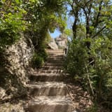 Sant Jeroni Summit Loop, Barcelona, Spain - 1,104 Reviews, Map | AllTrails