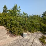 Pot Lake Loop, Nova Scotia, Canada - 1,349 Reviews, Map | AllTrails