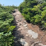 Zealand Bonds Traverse, New Hampshire - 777 Reviews, Map | AllTrails