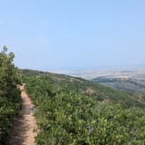 Carpenter Peak Trail, Colorado - 3,716 Reviews, Map | AllTrails