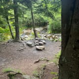 Sam's Knob and Little Sam Loop, North Carolina - 506 Reviews, Map ...