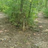 Metea Park North Loop, Indiana - 712 Reviews, Map | AllTrails