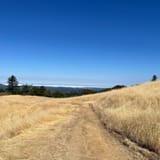 Hickory Oak Ridge Trail Loop, California - 225 Reviews, Map | AllTrails