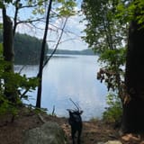 Gates Pond, Massachusetts - 1,219 Reviews, Map | AllTrails