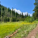 Government Springs 95A, Arizona - 655 Reviews, Map | AllTrails