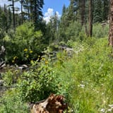 Government Springs 95A, Arizona - 655 Reviews, Map | AllTrails