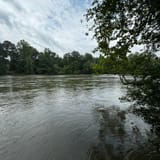 Jones Bridge Trail , Georgia - 3,157 Reviews, Map | AllTrails