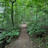 Jones Bridge Trail , Georgia - 3,157 Reviews, Map | AllTrails