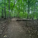 Jones Bridge Trail , Georgia - 3,157 Reviews, Map | AllTrails