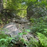 Pulpit Rock, The Pinnacle, and Blue Rocks Loop, Pennsylvania - 593 ...
