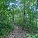 Spruce Hill via Hoosac Range Trail, Massachusetts - 585 Reviews, Map ...