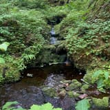 Indian River Trail, Alaska - 278 Reviews, Map | AllTrails