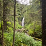 Indian River Trail, Alaska - 276 Reviews, Map | AllTrails
