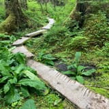 Indian River Trail, Alaska - 278 Reviews, Map | AllTrails