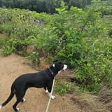 Salt Run, Ohio - 1,515 Reviews, Map | AllTrails