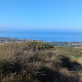 Ocean and Canyon View Trail, California - 2,097 Reviews, Map | AllTrails