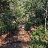 Seven Bridges Trail, Colorado - 8,187 Reviews, Map | AllTrails