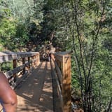 Seven Bridges Trail, Colorado - 8,187 Reviews, Map | AllTrails