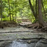 Fall Run Trail, Pennsylvania - 950 Reviews, Map | AllTrails
