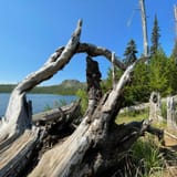Three Fingered Jack Loop, Oregon - 300 Reviews, Map | AllTrails