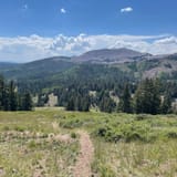 Delano Peak, Utah - 256 Reviews, Map | AllTrails