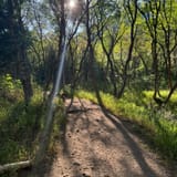 Neff's Canyon Loop, Utah - 3,131 Reviews, Map | AllTrails