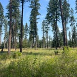 English Point Yellow Loop Trail, Idaho - 994 Reviews, Map | AllTrails