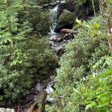 Grotto Falls via Trillium Gap Trail, Tennessee - 6,830 Reviews, Map ...