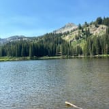 Silver Lake Loop Trail, Utah - 1,687 Reviews, Map | AllTrails
