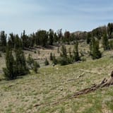 Tahoe Rim Trail (TRT): Brockway Summit to Mount Rose Summit, California ...