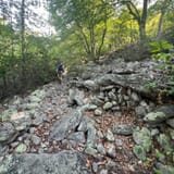Signal Knob Loop Trail, Virginia - 1,066 Reviews, Map | AllTrails