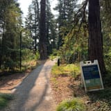 UC Davis Arboretum Trail, California - 1,384 Reviews, Map | AllTrails