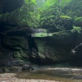 Hidden Arch Trail, Kentucky - 1,248 Reviews, Map | AllTrails