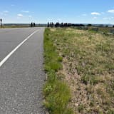 Chatfield Dam to Chatfield Internal Loop, Colorado - 846 Reviews, Map ...