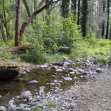 Ritchey Canyon Trail and Coyote Peak, California - 1,054 Reviews, Map ...