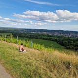 Surrey Three Peaks - Boxhill, Holmbury Hill, Leith Hill, Surrey ...