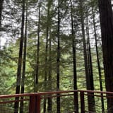 Washington Park Loop, Oregon - 1,903 Reviews, Map | AllTrails