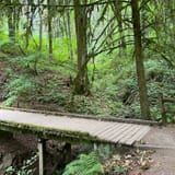 Washington Park Loop, Oregon - 1,869 Reviews, Map | AllTrails