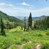 Gobblers Knob via Alexander Basin Trail, Utah - 677 Reviews, Map ...
