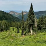 Gobblers Knob via Alexander Basin Trail, Utah - 710 Reviews, Map ...