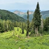 Gobblers Knob via Alexander Basin Trail, Utah - 710 Reviews, Map ...