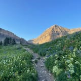 Mount Timpanogos via Timpooneke Trail, Utah - 4,867 Reviews, Map ...
