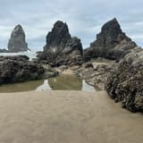 Haystack Rock, Oregon - 649 Reviews, Map | AllTrails