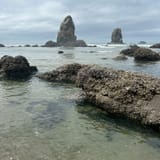 Haystack Rock, Oregon - 649 Reviews, Map | AllTrails